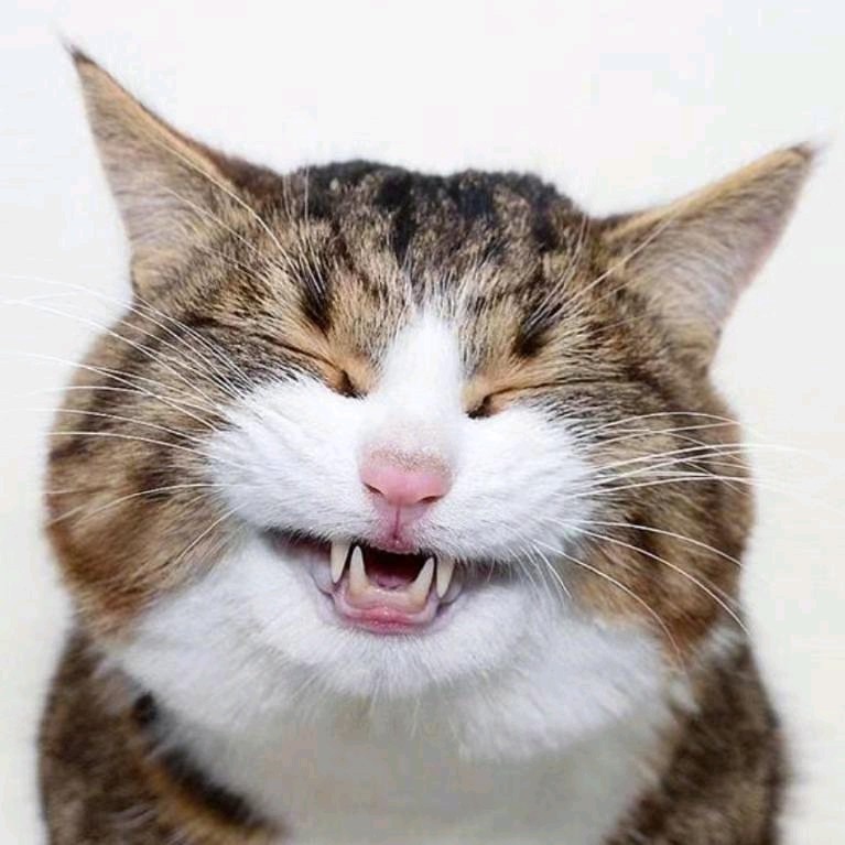 GGAC数字艺术平台