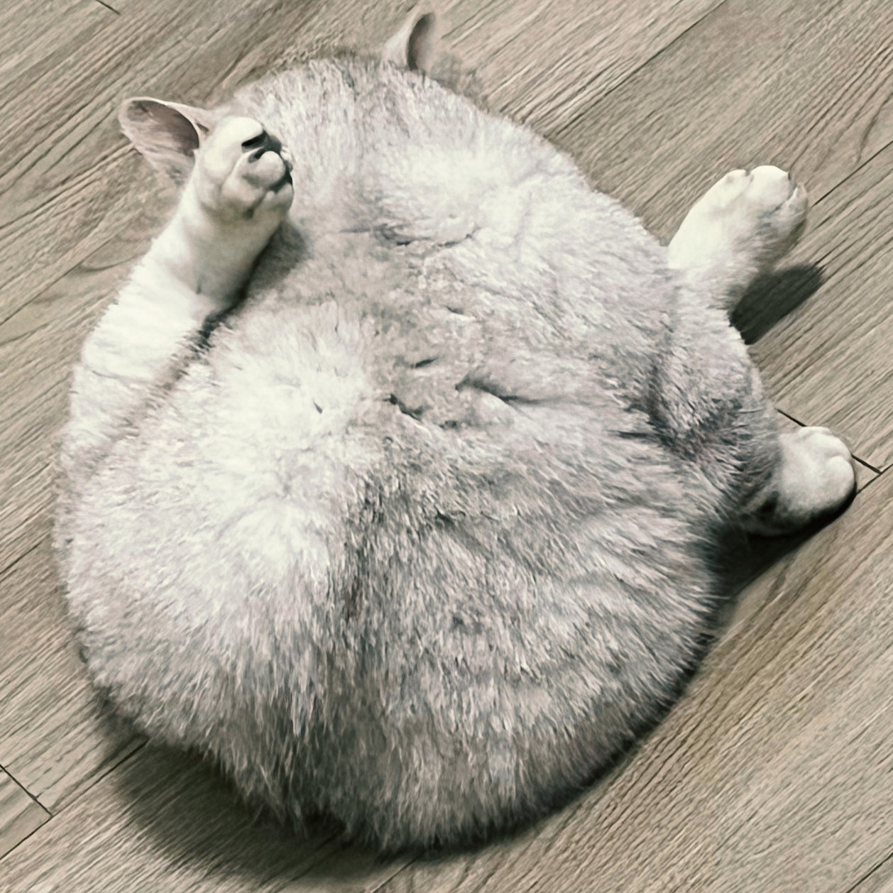 GGAC数字艺术平台